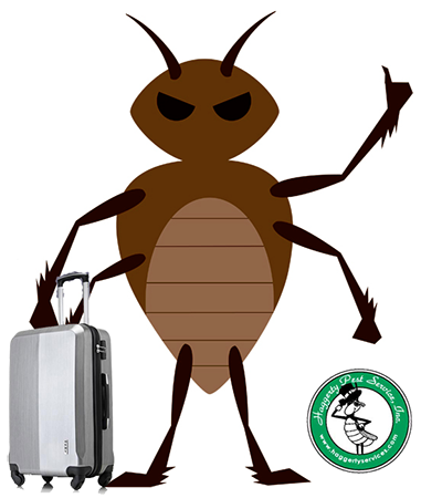 The nastiest of hitchhikers: Bed bugs - Haggerty Services